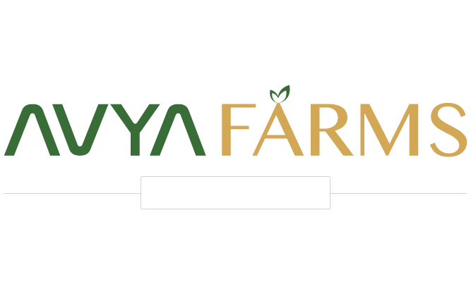 Best Real Estate Company in Bangalore | Avya Builders